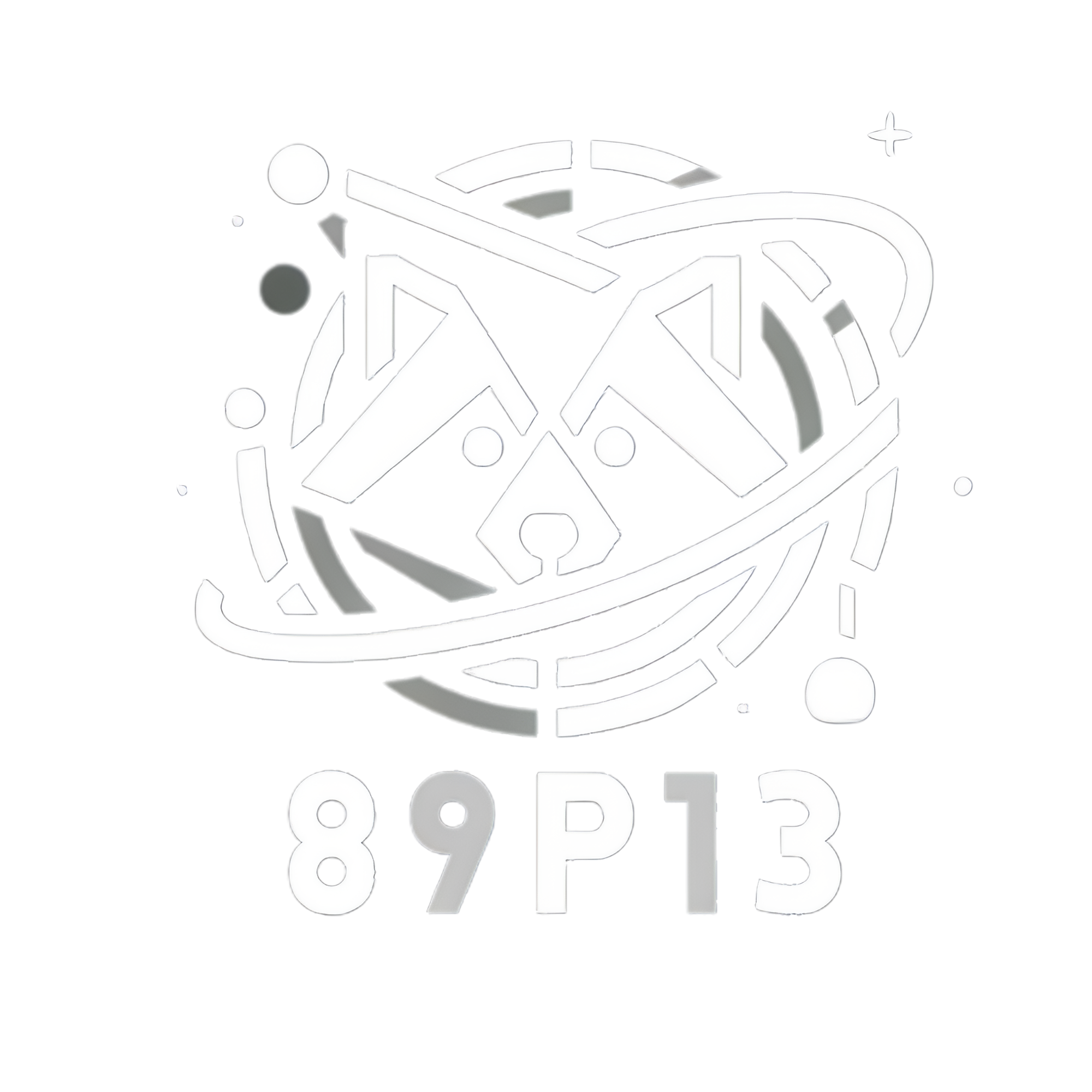 89P13
